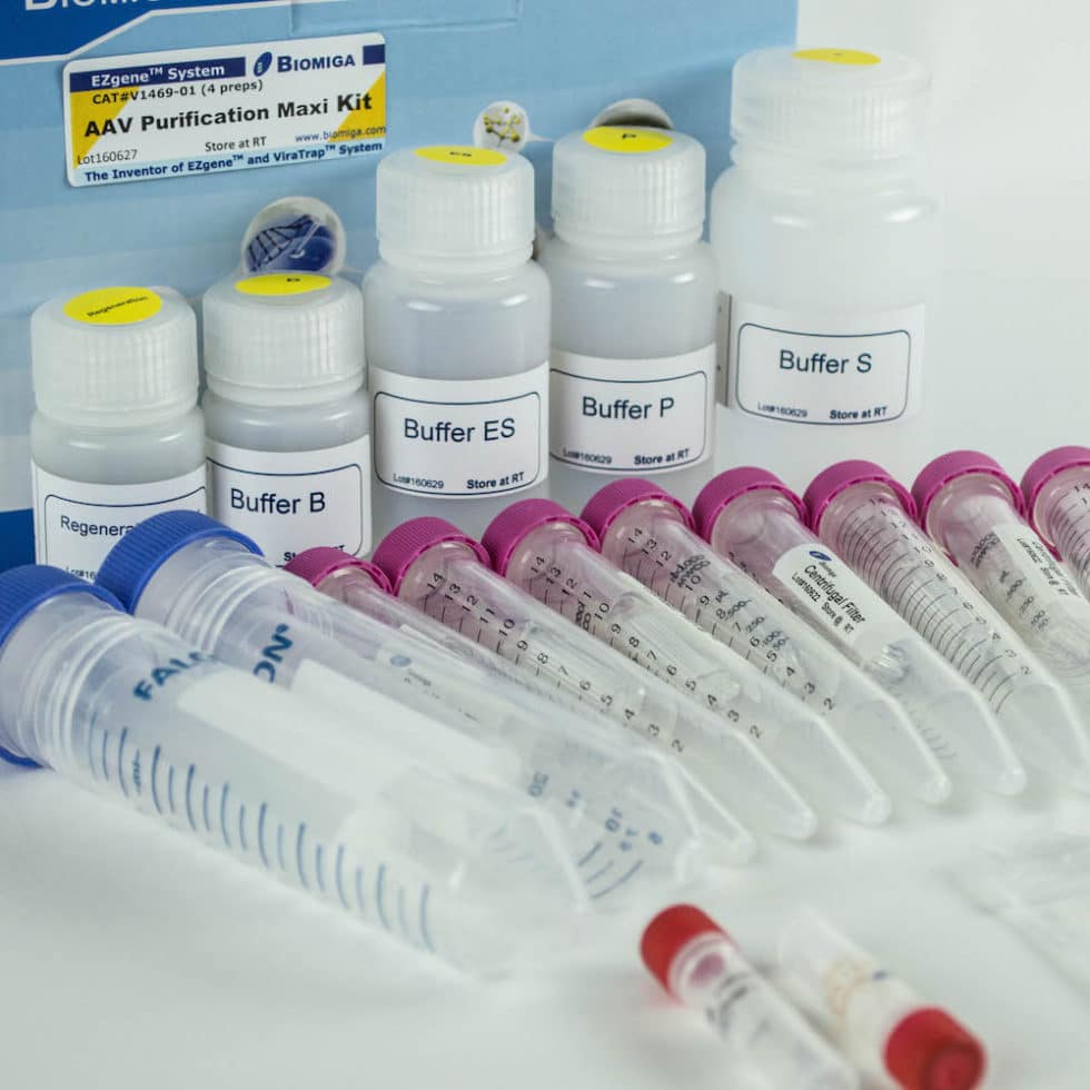 Adeno-Associated Virus (AAV) Purification Maxi Kit, All Serotypes - Biomiga